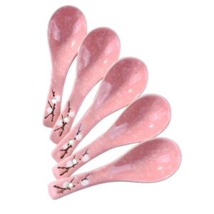 japanese soup spoons set of 5, pink asian spoon suitable for soup, ramen, pho, gravy, cake, oatmeal, chaos, dumplings,salad