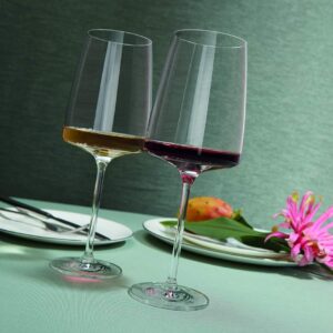 Zwiesel Glas Tritan Sensa Collection Red Wine Glass, 18.1-Ounce, Set of 6