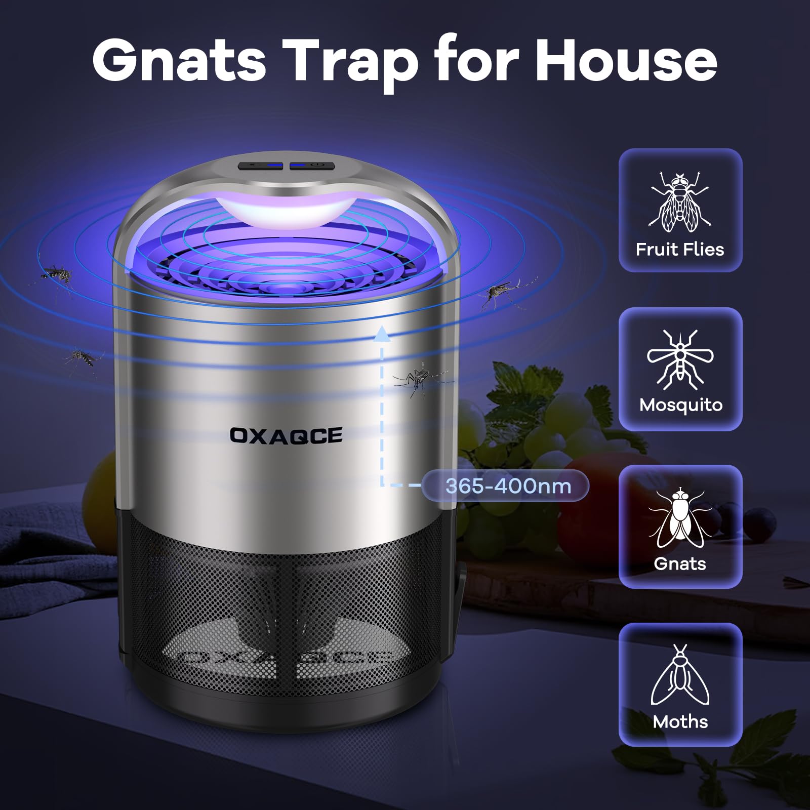 Fruit Fly Traps Indoors, Gnat Traps for House, Fly Traps, Bug Zapper Indoor, Insect Traps with 10 Sticky Glue Boards, Grey