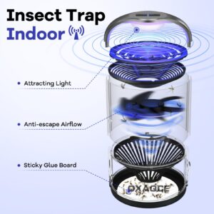 Fruit Fly Traps Indoors, Gnat Traps for House, Fly Traps, Bug Zapper Indoor, Insect Traps with 10 Sticky Glue Boards, Grey