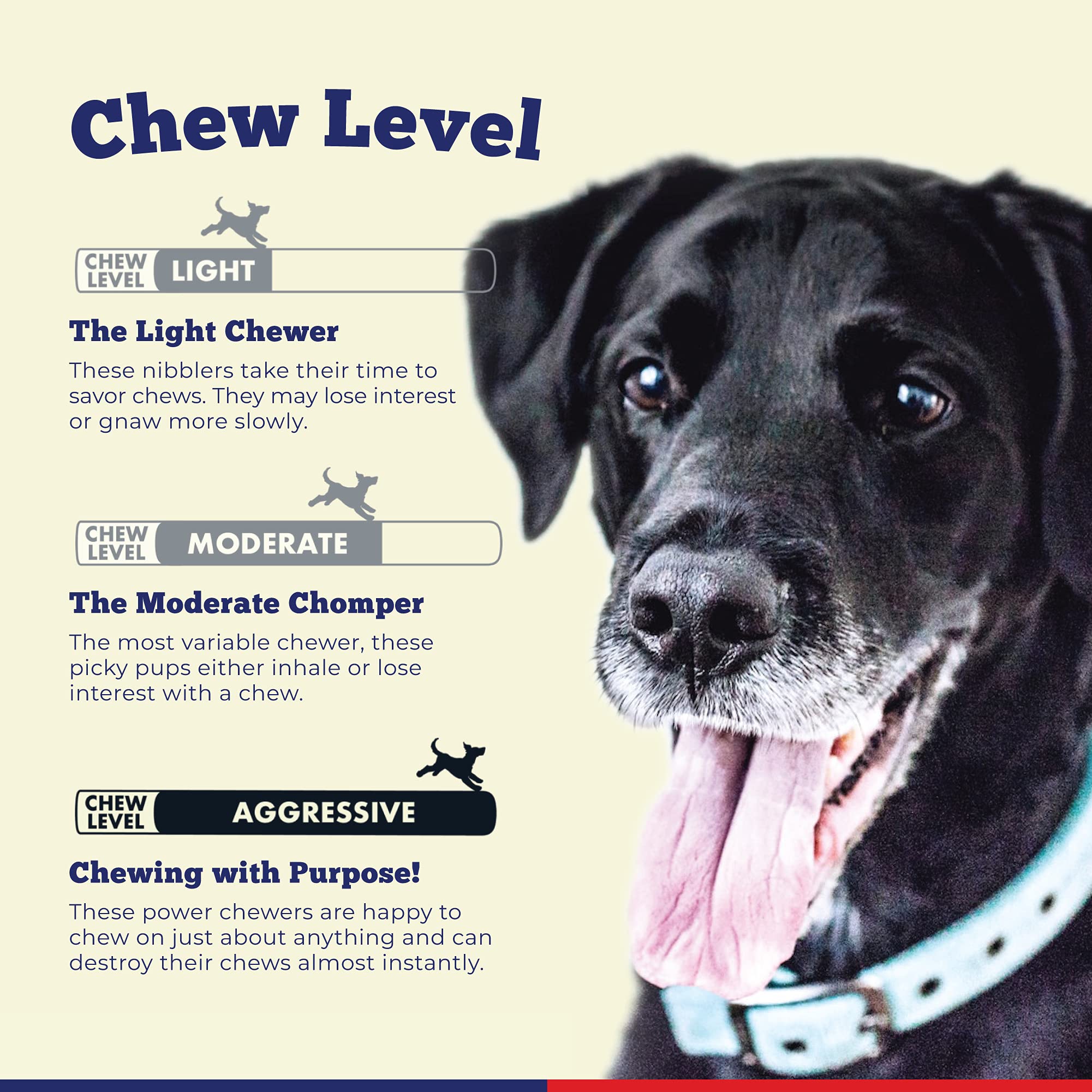 CHEWY LOUIE Large Meaty Bone 3pk - One Ingredient, Flavor Packed for Picky Eaters, All Natural, No Artificial Flavors or Chemicals, Long-Lasting, Superior Dental Support Dog Treats.