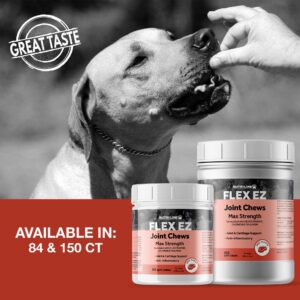 Nutriline Labs Flex EZ Dog Glucosamine Chondroitin Chewable Hip and Joint Supplement for Dogs Chews Treats with MSM and Turmeric, for Large/Giant Breeds (150 Soft Chews)