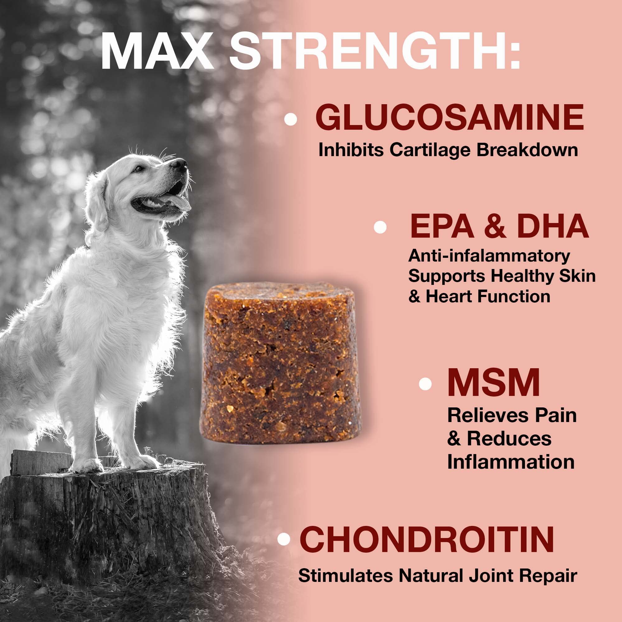 Nutriline Labs Flex EZ Dog Glucosamine Chondroitin Chewable Hip and Joint Supplement for Dogs Chews Treats with MSM and Turmeric, for Large/Giant Breeds (150 Soft Chews)