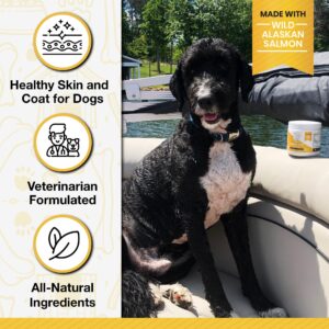 Pawlife Dog Fish Oil Supplements - 120 Omega 3 Fish Oil Dog Vitamins, Veterinarian Formulated Itching Relief for Dogs, Natural Omega 3 Fish Oil for Dogs, Dog Skin and Coat Supplement (Salmon Flavor)