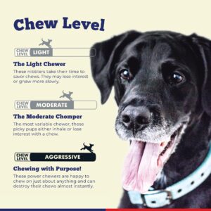 CHEWY LOUIE Small White Bone 3pk - One Ingredient, Flavor Packed for Picky Eaters, All Natural, No Artificial Flavors or Chemicals, Long-Lasting, Superior Dental Support Dog Treats