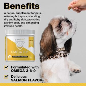 Pawlife Dog Fish Oil Supplements - 120 Omega 3 Fish Oil Dog Vitamins, Veterinarian Formulated Itching Relief for Dogs, Natural Omega 3 Fish Oil for Dogs, Dog Skin and Coat Supplement (Salmon Flavor)