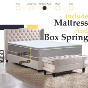 Mayton10-Inch Medium Plush Eurotop Pillowtop Innerspring Mattress And 8" Wood Traditional Box Spring/Foundation Set,Twin