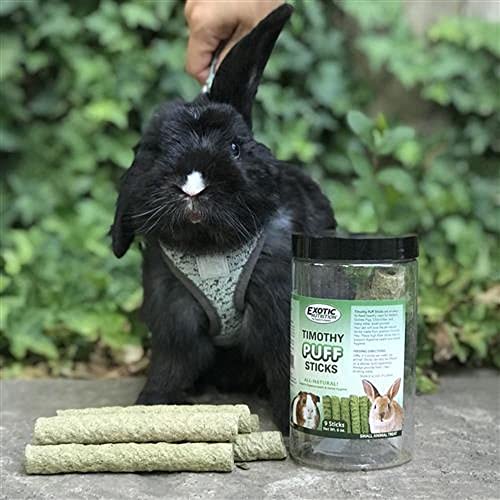 Timothy Puff Sticks - Healthy Natural Timothy Hay Chew Treat - High Protein, High Fiber - Guinea Pigs, Rabbits, Chinchillas, Prairie Dogs, Degus, Hamsters, Rats, Tortoises & Other Herbivores