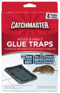 mouse & insect glue traps, baited, 4-pk.