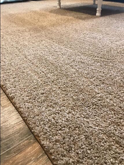 KOECKRITZ Custom Cut-to-Fit Area Rugs Neutral Carpet - Soft Plush Indoor Rugs - Perfect for Living Room, Bedroom, Entryway - Great for Homes, Apartments, Dorms, Kids Room - 12x15' ft Chocolate