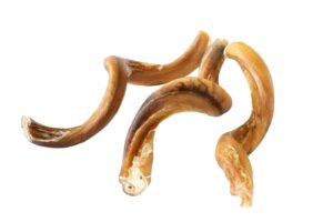 dog nip! 4-5" bully stick springs - all natural bully pizzle bone - grass fed beef - curly spiral bully sticks - long lasting dog chew dental treats