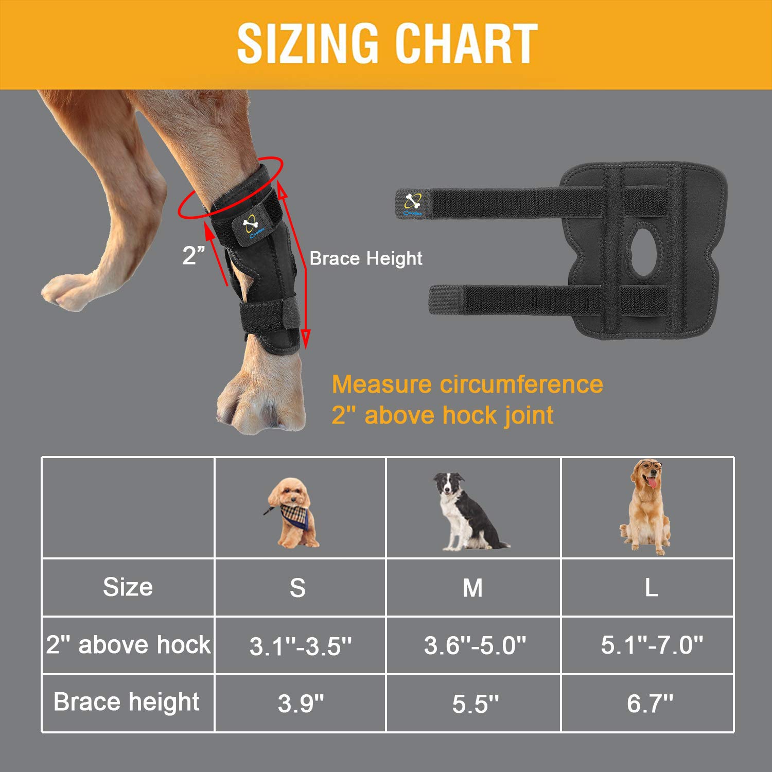 Coodeo Powerful Dog Canine Rear Leg Hock Joint Brace with Metal Spring Strips, Strengthen Support Dog Back Leg Compression Wrap, Help Dogs with Injuries, Sprains, Arthritis, Rheumatism Walk (S, Black)