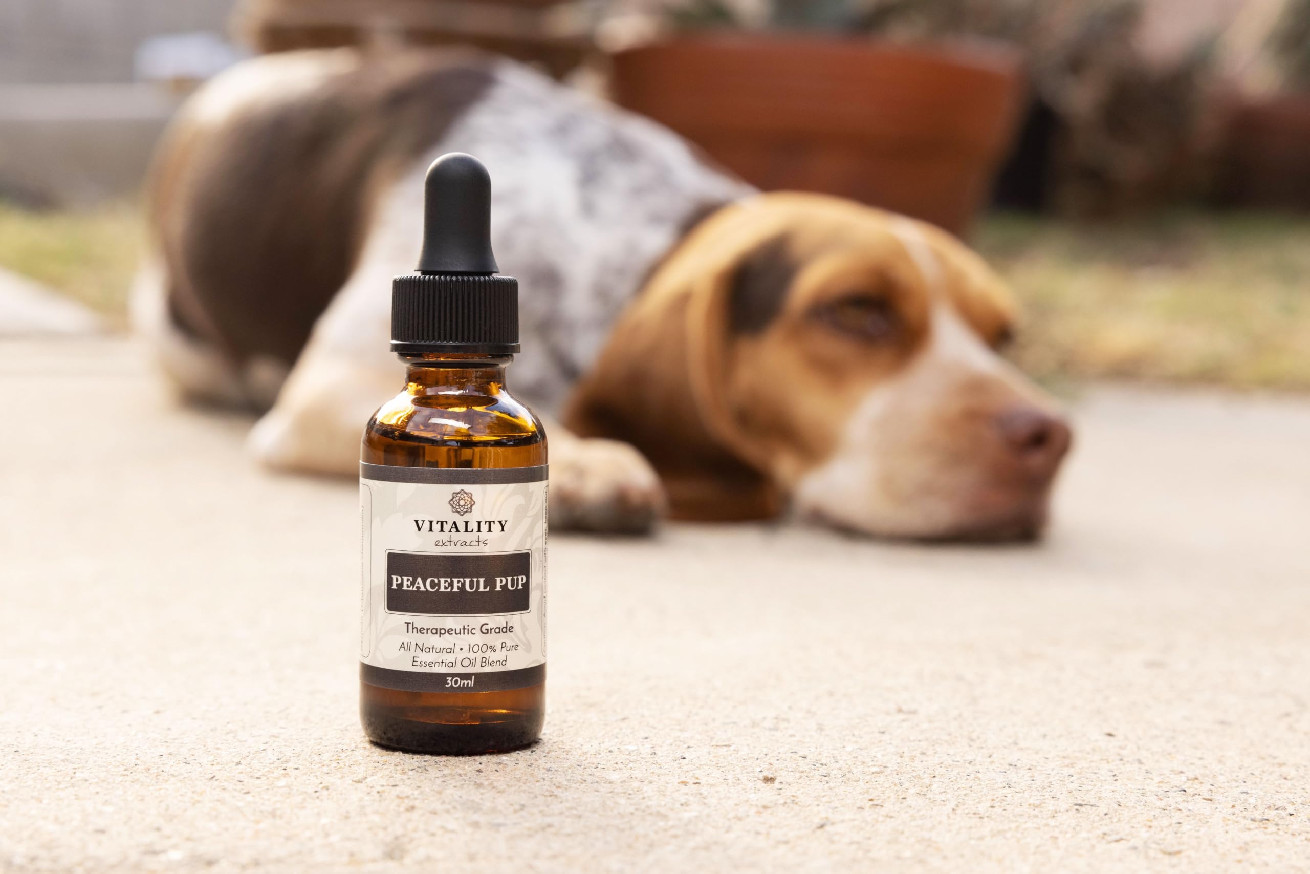 Peaceful Pup - Dog Anxiety & Stress Relief (by Vitality Extracts) - Natural Calm, Ease Anxiety & Stress, Aromatherapy, Lavender Essential Oil, Lemon Essential Oil, in Almond Oil Base