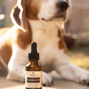 Peaceful Pup - Dog Anxiety & Stress Relief (by Vitality Extracts) - Natural Calm, Ease Anxiety & Stress, Aromatherapy, Lavender Essential Oil, Lemon Essential Oil, in Almond Oil Base