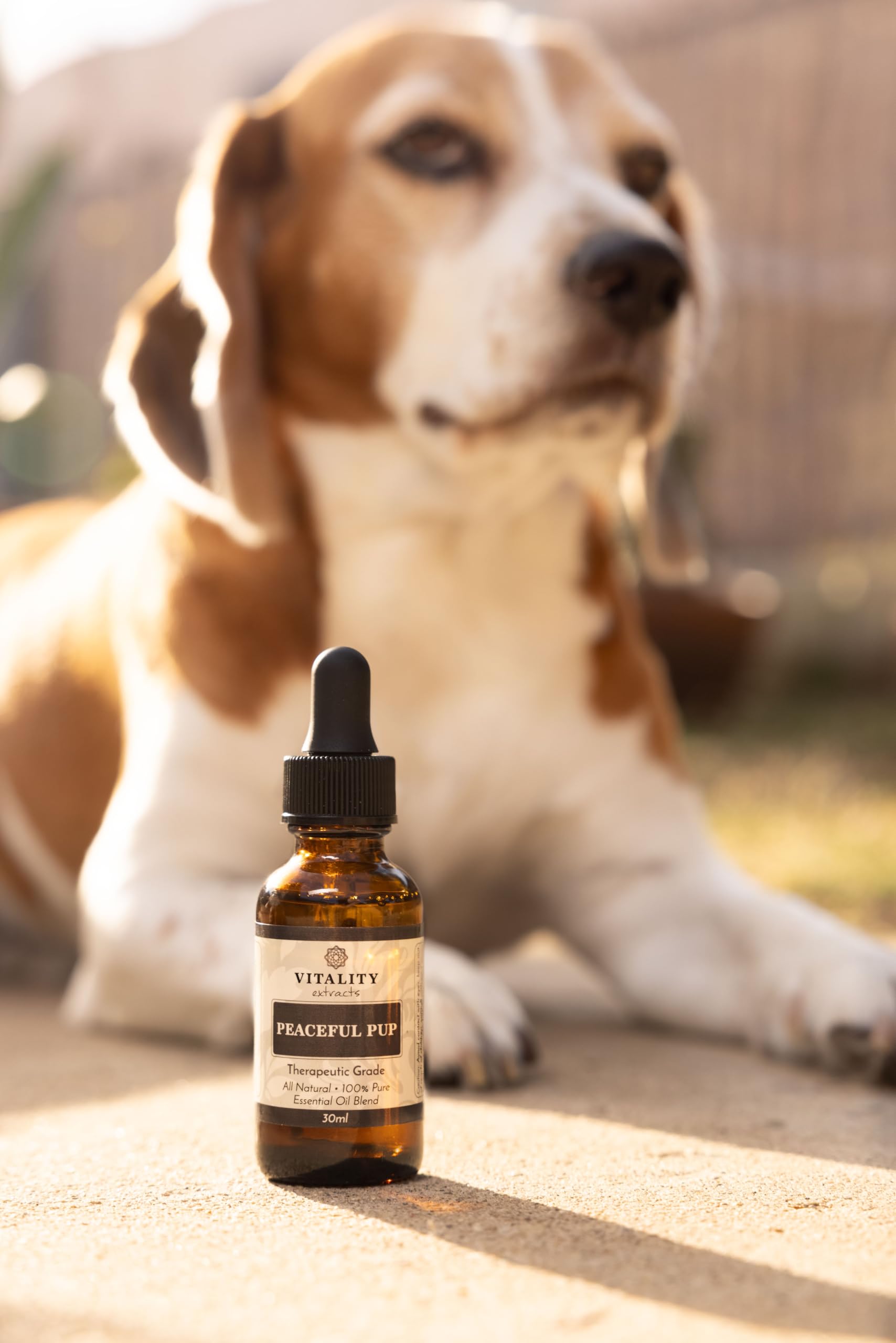 Peaceful Pup - Dog Anxiety & Stress Relief (by Vitality Extracts) - Natural Calm, Ease Anxiety & Stress, Aromatherapy, Lavender Essential Oil, Lemon Essential Oil, in Almond Oil Base