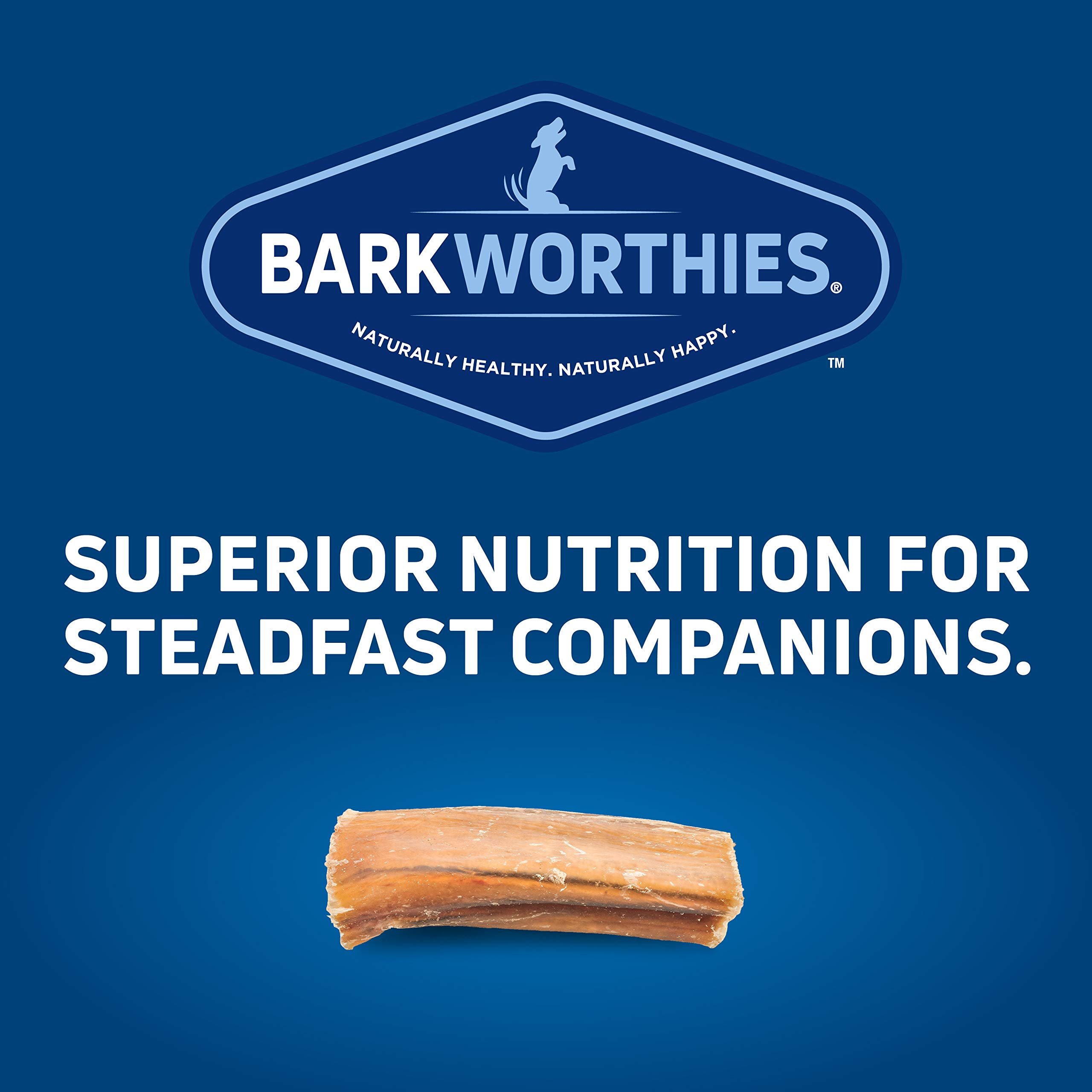 Barkworthies Protein-Rich Bully Stick Bites (10oz. Bag) - All-Natural Rawhide Alternative - Easily digestible Dog Treat - Promotes Dental Health