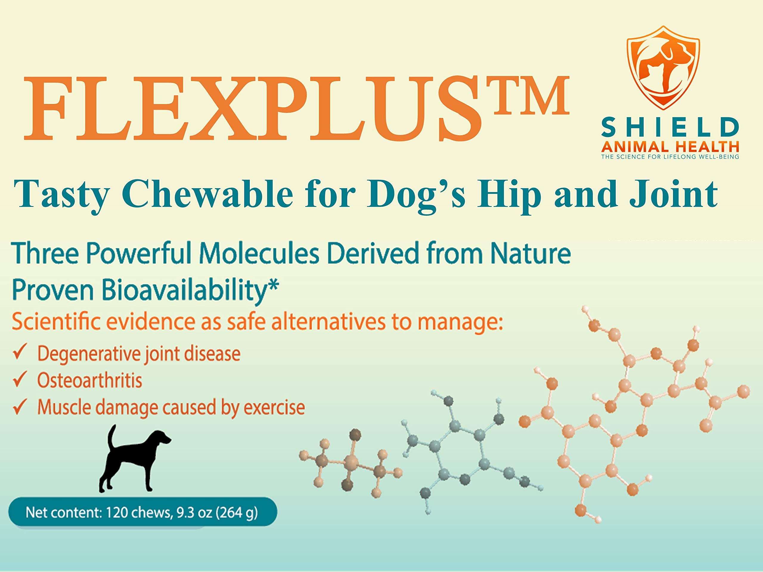 Sheild Animal Health FLEXPLUS for Dog's Hip & Joint. Relieve Pain and Inflammation from Arthritis, Joint Disease, and Muscle Damage. Pharmaceutical Grade.Clinically Proven Absorption.120 Chews. Chicken Flavor. Made in USA