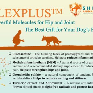 Sheild Animal Health FLEXPLUS for Dog's Hip & Joint. Relieve Pain and Inflammation from Arthritis, Joint Disease, and Muscle Damage. Pharmaceutical Grade.Clinically Proven Absorption.120 Chews. Chicken Flavor. Made in USA