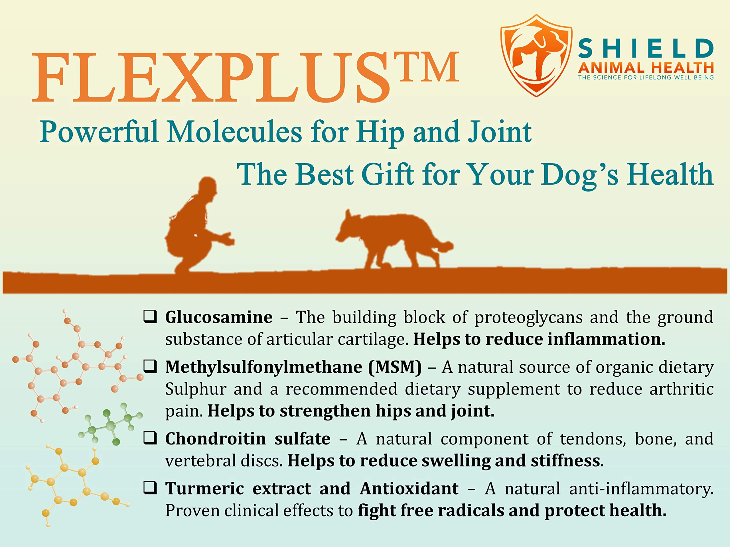 Sheild Animal Health FLEXPLUS for Dog's Hip & Joint. Relieve Pain and Inflammation from Arthritis, Joint Disease, and Muscle Damage. Pharmaceutical Grade.Clinically Proven Absorption.120 Chews. Chicken Flavor. Made in USA