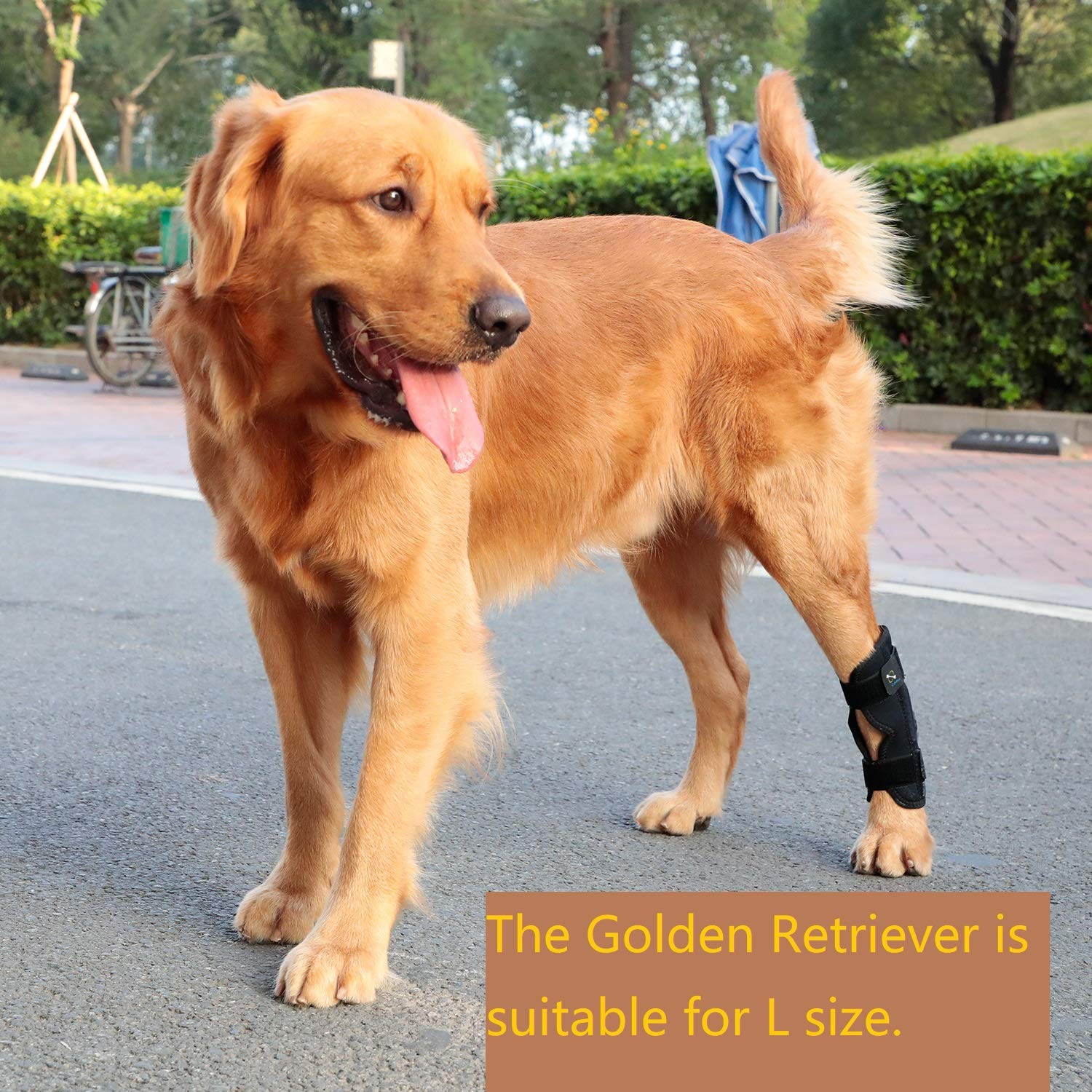 Coodeo Powerful Dog Canine Rear Leg Hock Joint Brace with Metal Spring Strips, Strengthen Support Dog Back Leg Compression Wrap, Help Dogs with Injuries, Sprains, Arthritis, Rheumatism Walk (S, Black)