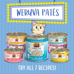 Weruva Wet Cat Food, Meows n Holler PurrAmid with Chicken and Shrimp Pate, 3oz Can, Pack of 12