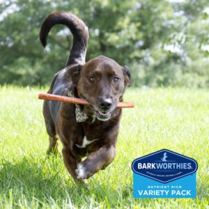 Barkworthies Medium Breed Variety Pack Natural Dog Chews (5 Count)