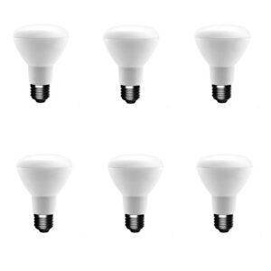 ecosmart 50-watt equivalent r20 dimmable energy star led light bulb soft white (6-pack)