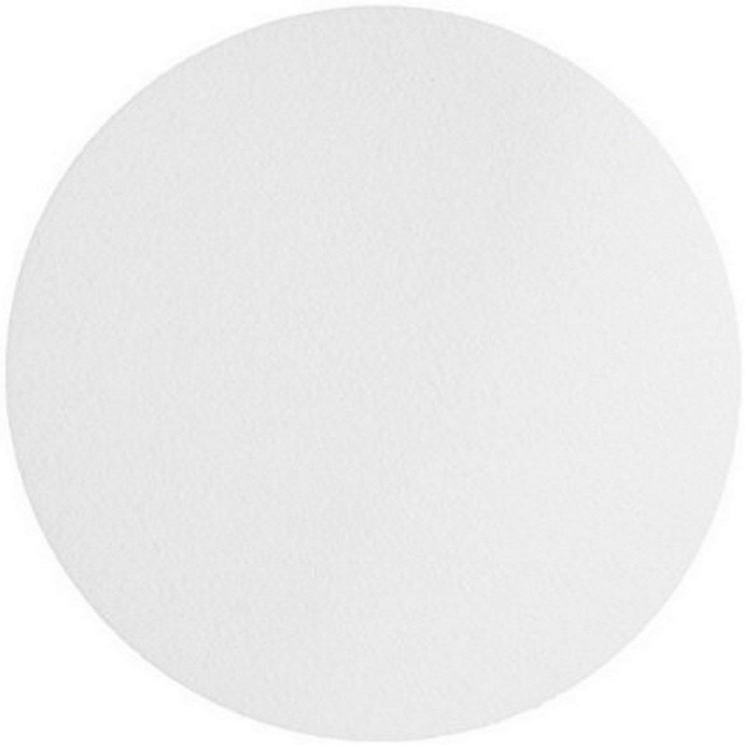 Omicron 134047 Borosilicate Glass Fiber Binder Free Filter,0.7 Micron, 47mm (Pack of 100) (Similar to 1825-047 GF/F)