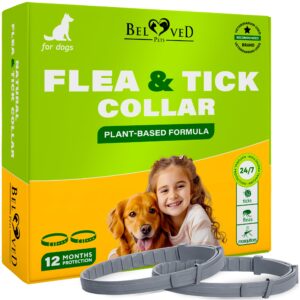 natural flea & tick collar for dogs - 6 months control of best prevention & safe treatment - anti fleas and ticks essential oil repellent (1 pack, 2 count)