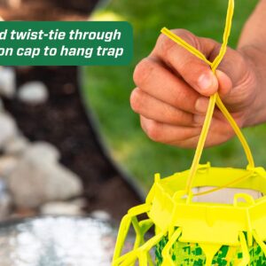 RESCUE! TrapStik for Wasps, Mud Daubers, Carpenter Bees