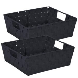 simplify 15"x 13"x 5" alloy steel rectangular basket with 2 built-in carrying handles, black