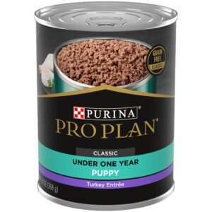 purina pro plan grain free wet puppy food, classic turkey entrée - (pack of 12) 13 oz. cans