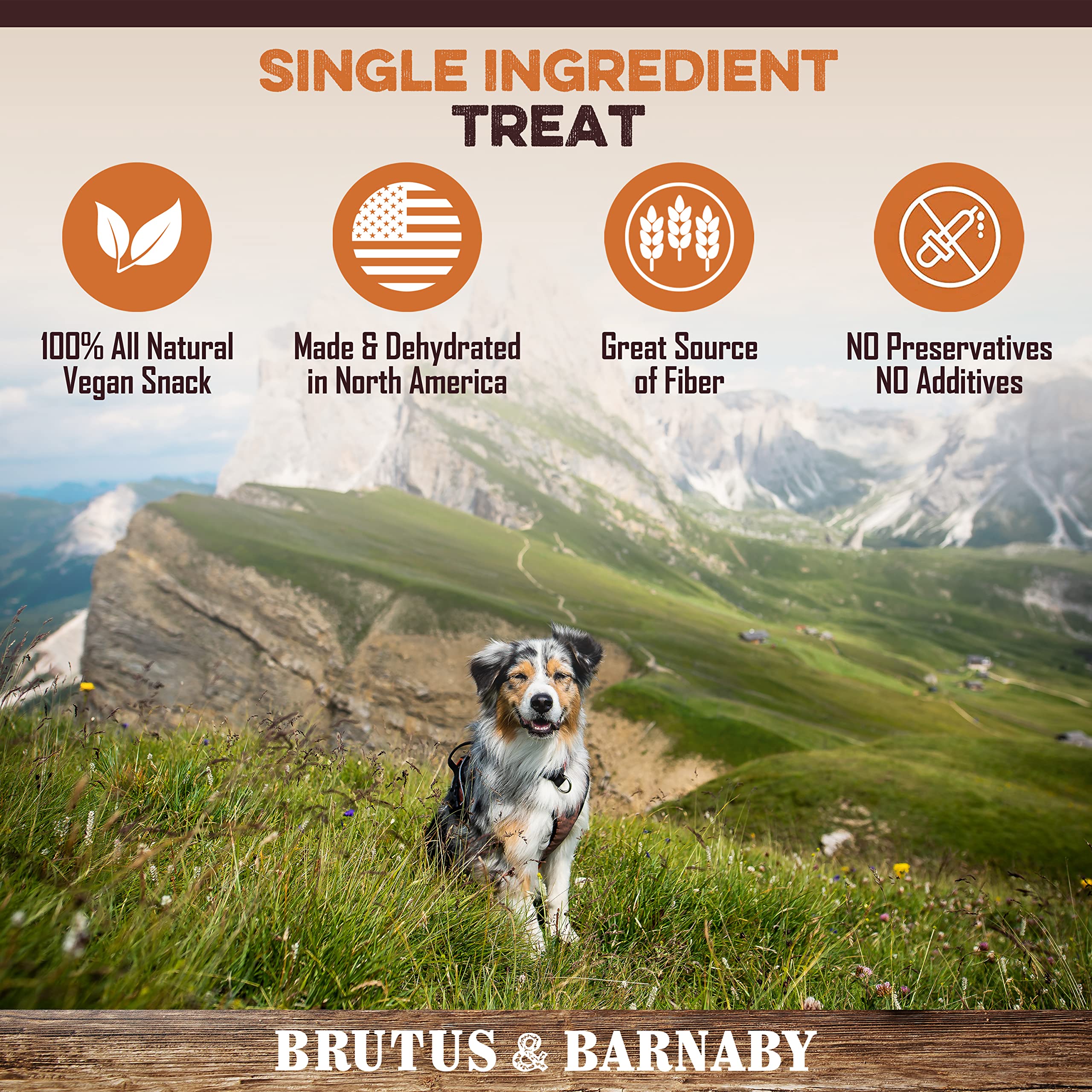 BRUTUS & BARNABY Sweet Potato Dog Treats- No Additive Dehydrated Sweet Potato Fries, Grain Free, Gluten Free and No Preservatives Added (14 oz)