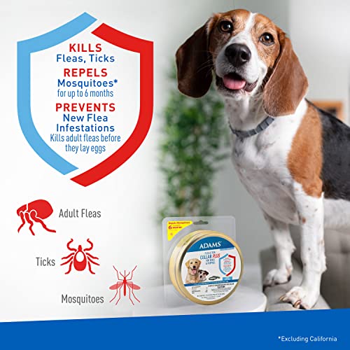 Adams Flea & Tick Collar Plus for Dogs & Puppies |2 Pack |12-Month Protection |One Size Fits All Dogs & Puppies 12 Weeks and Older |Kills Fleas and Ticks |Repels Mosquitoes (excluding California)