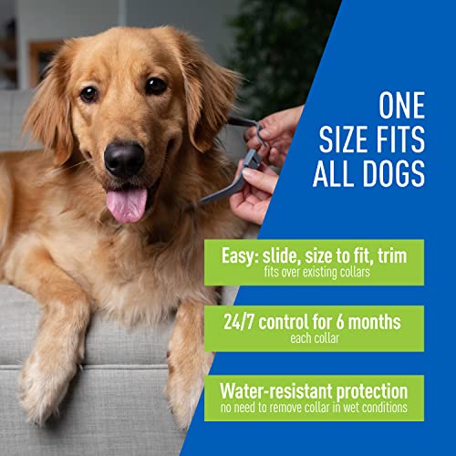 Adams Flea & Tick Collar Plus for Dogs & Puppies |2 Pack |12-Month Protection |One Size Fits All Dogs & Puppies 12 Weeks and Older |Kills Fleas and Ticks |Repels Mosquitoes (excluding California)