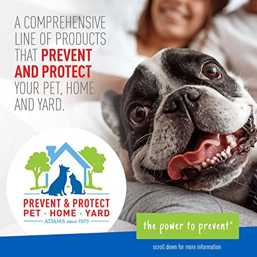 Adams Flea & Tick Collar Plus for Dogs & Puppies |2 Pack |12-Month Protection |One Size Fits All Dogs & Puppies 12 Weeks and Older |Kills Fleas and Ticks |Repels Mosquitoes (excluding California)