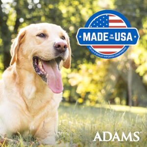 Adams Flea & Tick Collar Plus for Dogs & Puppies |2 Pack |12-Month Protection |One Size Fits All Dogs & Puppies 12 Weeks and Older |Kills Fleas and Ticks |Repels Mosquitoes (excluding California)