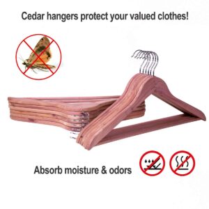 ELONG HOME Cedar Hangers, 12 Pack Sturdy Wooden Hangers with 360 Degree Swivel Hook, Smooth Surface Wood Coat Hangers with Cedar Scent for Refreshing Closet