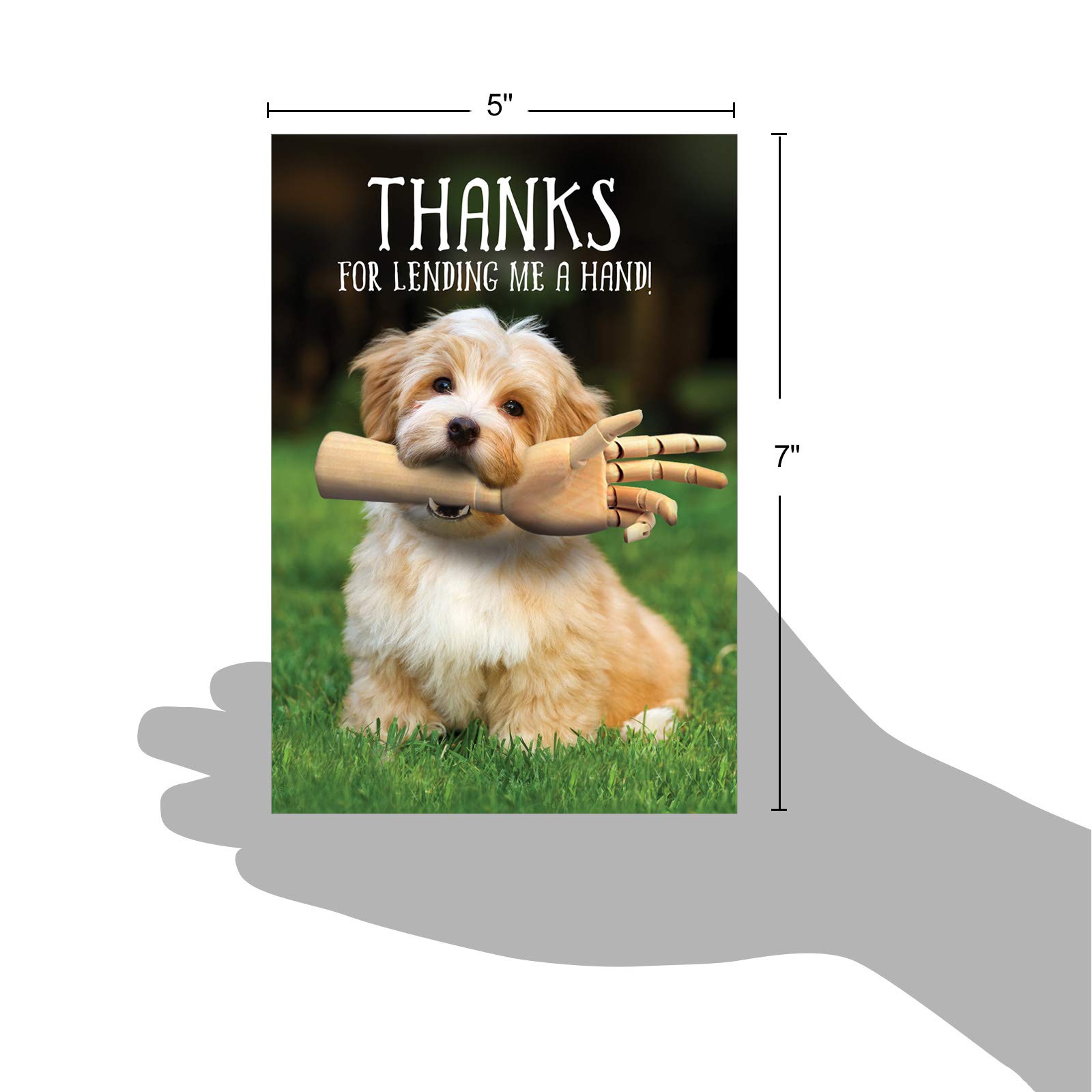 NobleWorks - 1 Funny Thank You Greeting Card - Animal Thanks and Gratitude Notecard Stationery - Lending a Hand C6877TYG