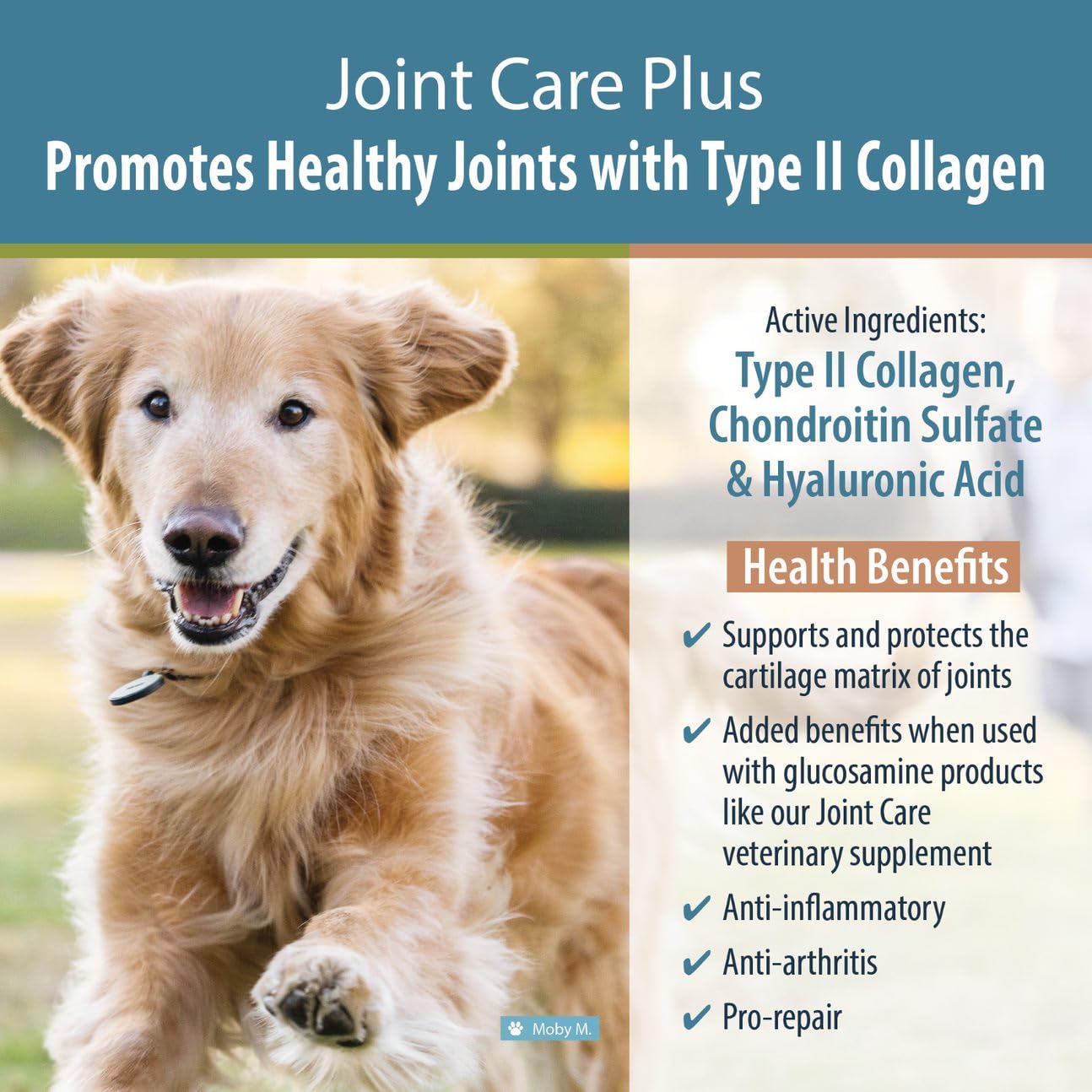 JustFoodForDogs Joint Care Plus, Dog Joint Supplement, Type II Collagen & Chondroitin Sulfate - 60 Count