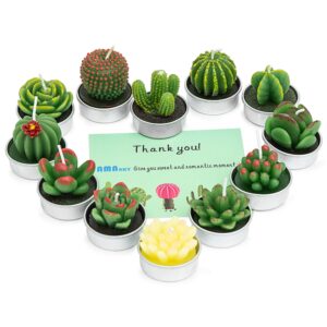 handmade delicate succulent cactus candles for birthday party wedding spa home decoration(12 packs-2)