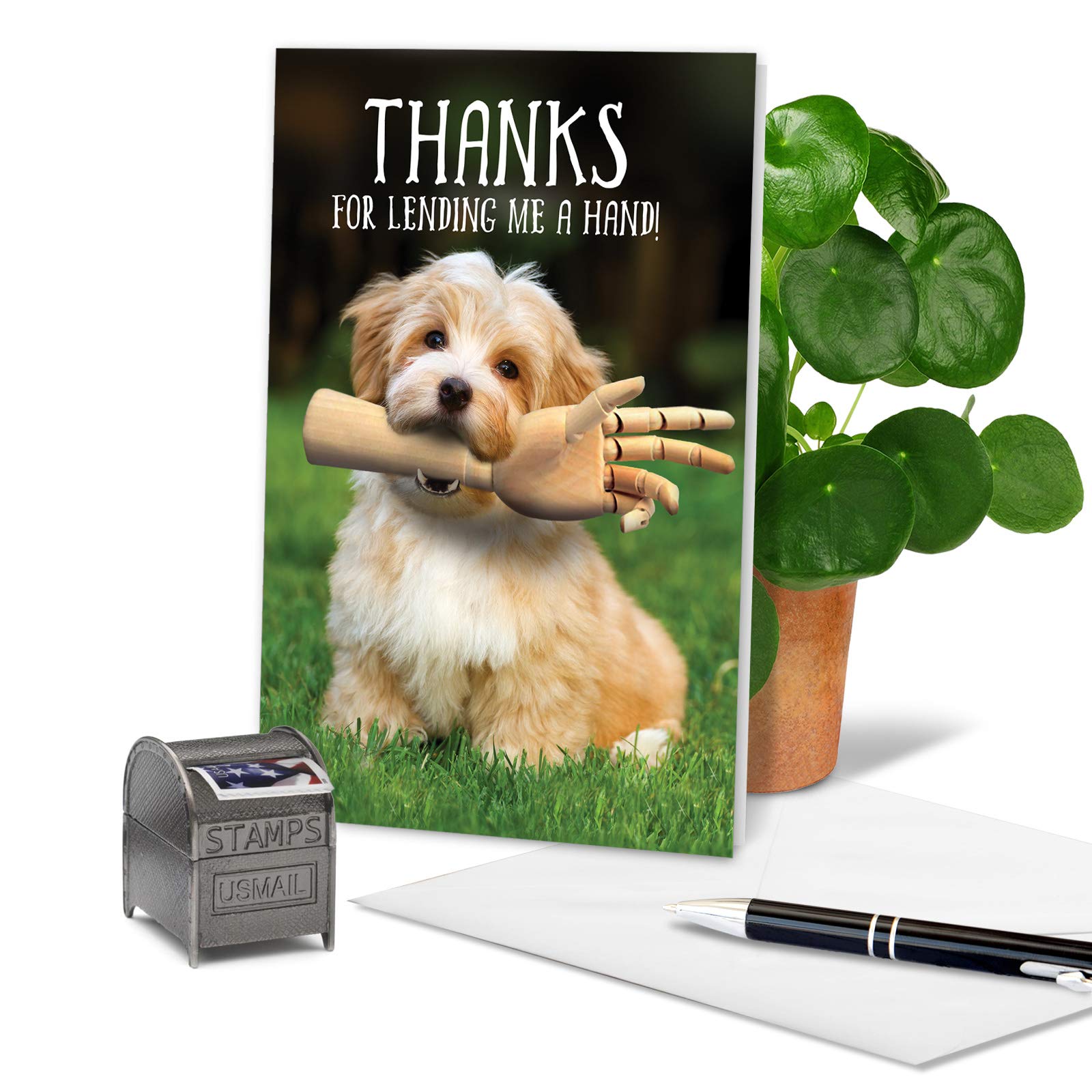 NobleWorks - 1 Funny Thank You Greeting Card - Animal Thanks and Gratitude Notecard Stationery - Lending a Hand C6877TYG