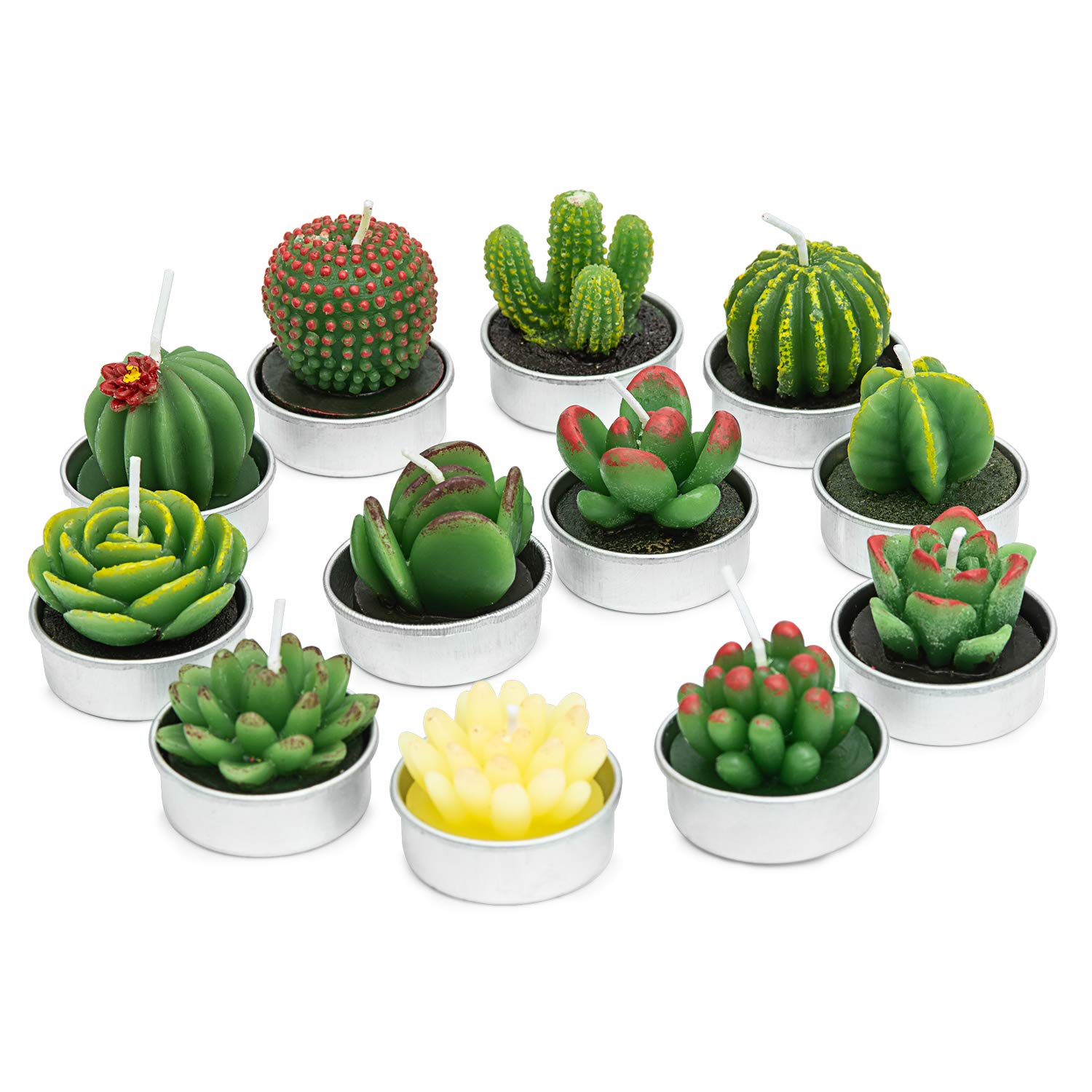 Handmade Delicate Succulent Cactus Candles for Birthday Party Wedding Spa Home Decoration(12 Packs-2)