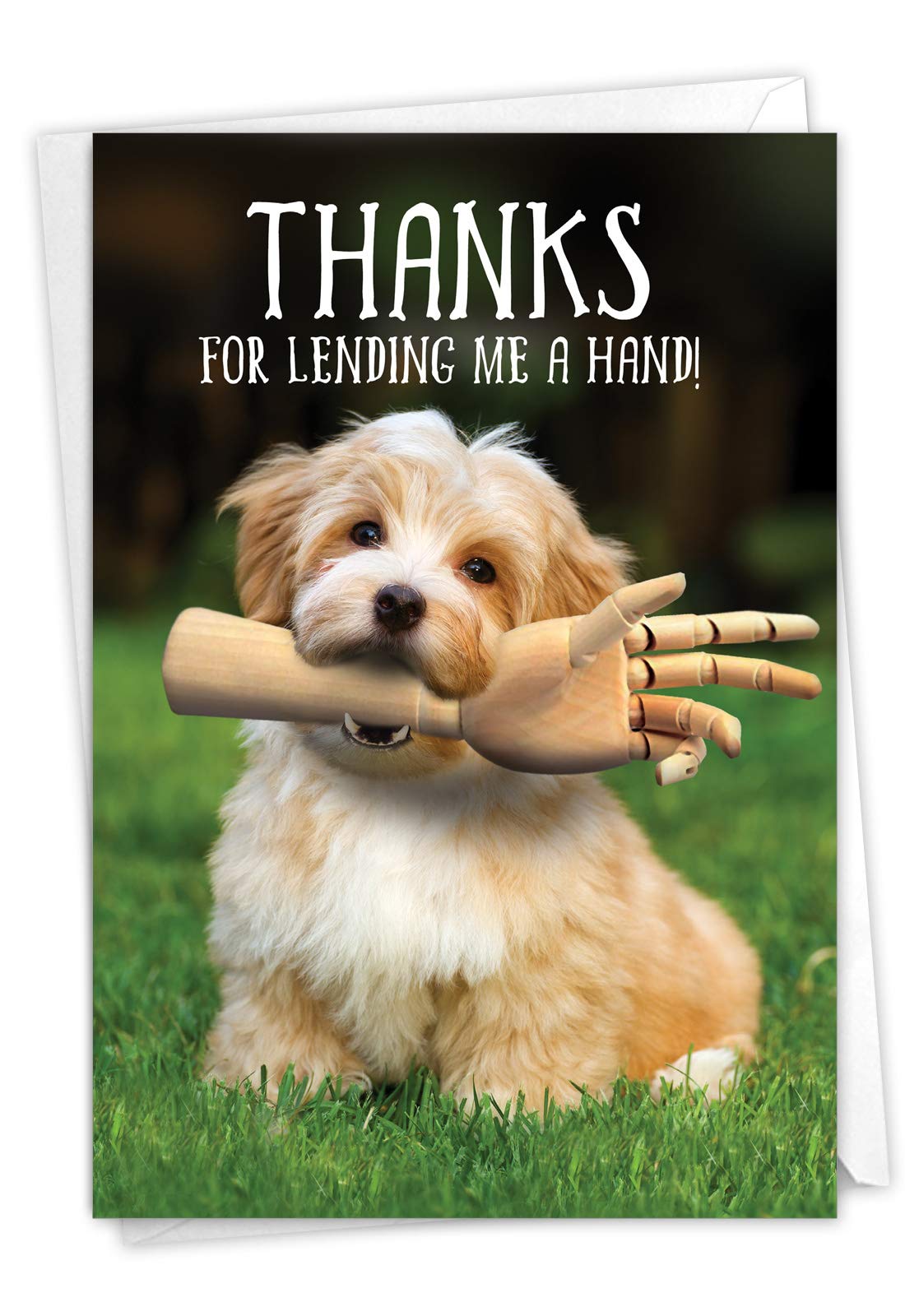 NobleWorks - 1 Funny Thank You Greeting Card - Animal Thanks and Gratitude Notecard Stationery - Lending a Hand C6877TYG