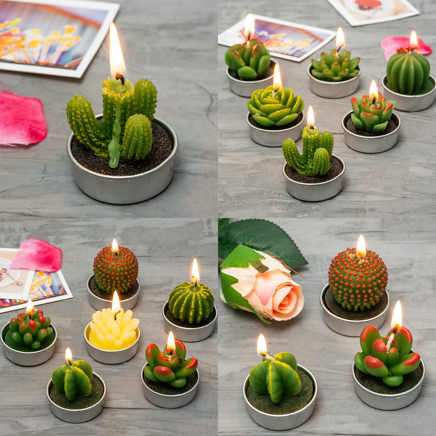 Handmade Delicate Succulent Cactus Candles for Birthday Party Wedding Spa Home Decoration(12 Packs-2)