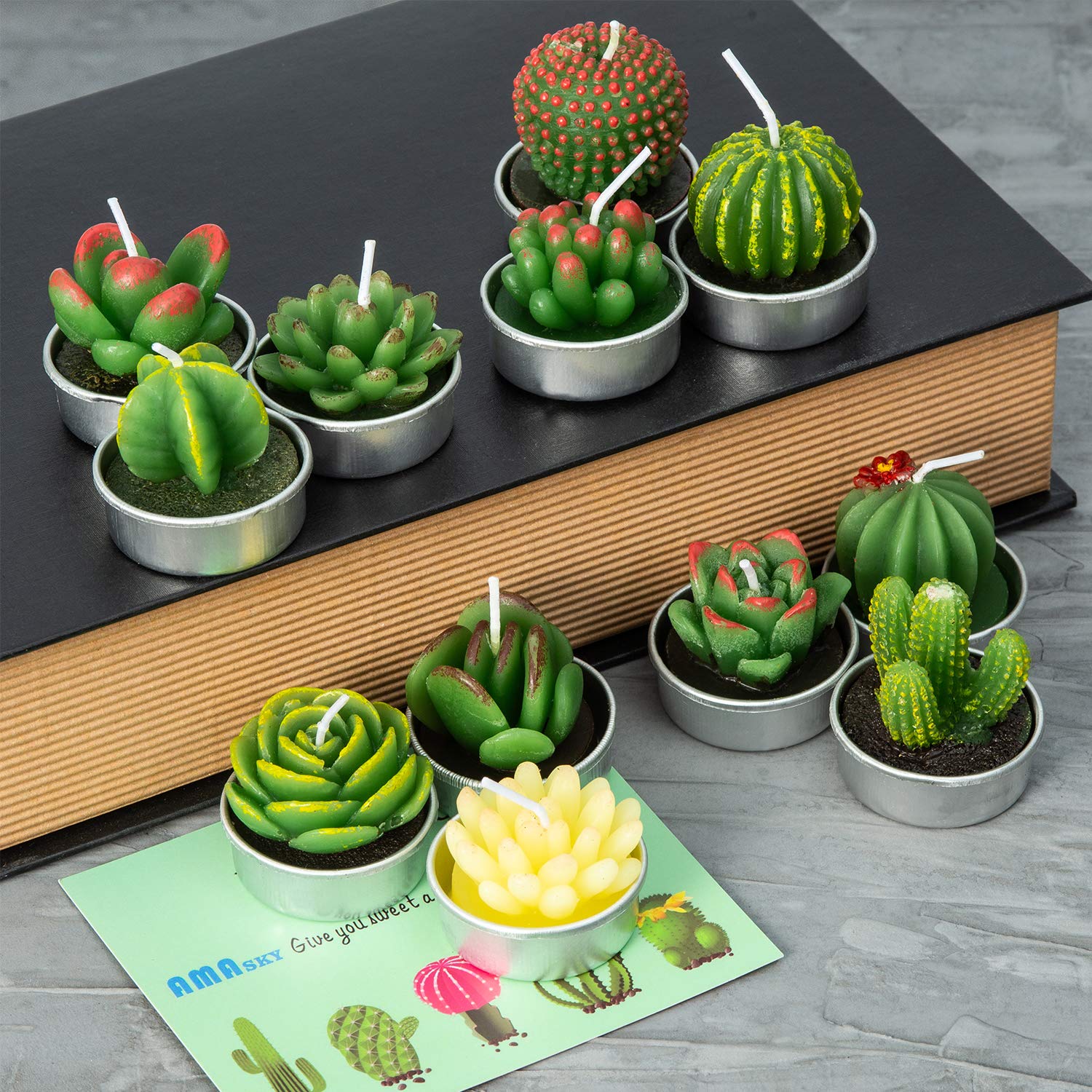 Handmade Delicate Succulent Cactus Candles for Birthday Party Wedding Spa Home Decoration(12 Packs-2)