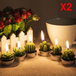 Handmade Delicate Succulent Cactus Candles for Birthday Party Wedding Spa Home Decoration(12 Packs-2)