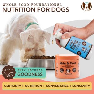 Natural Dog Company Skin & Coat Chews, Salmon & Peas Flavor, Dog Vitamins and Supplements for Healthy Skin & Coat, Itch Relief for Dogs with Allergies, with Biotin, Vitamin E, Omega 3, Antioxidant