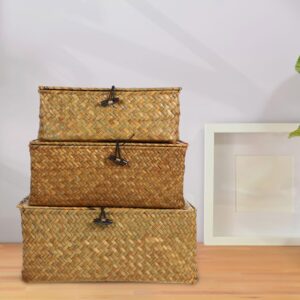 Rattan Storage Basket Makeup Organizer Multipurpose Container with Lid (S/M/L)