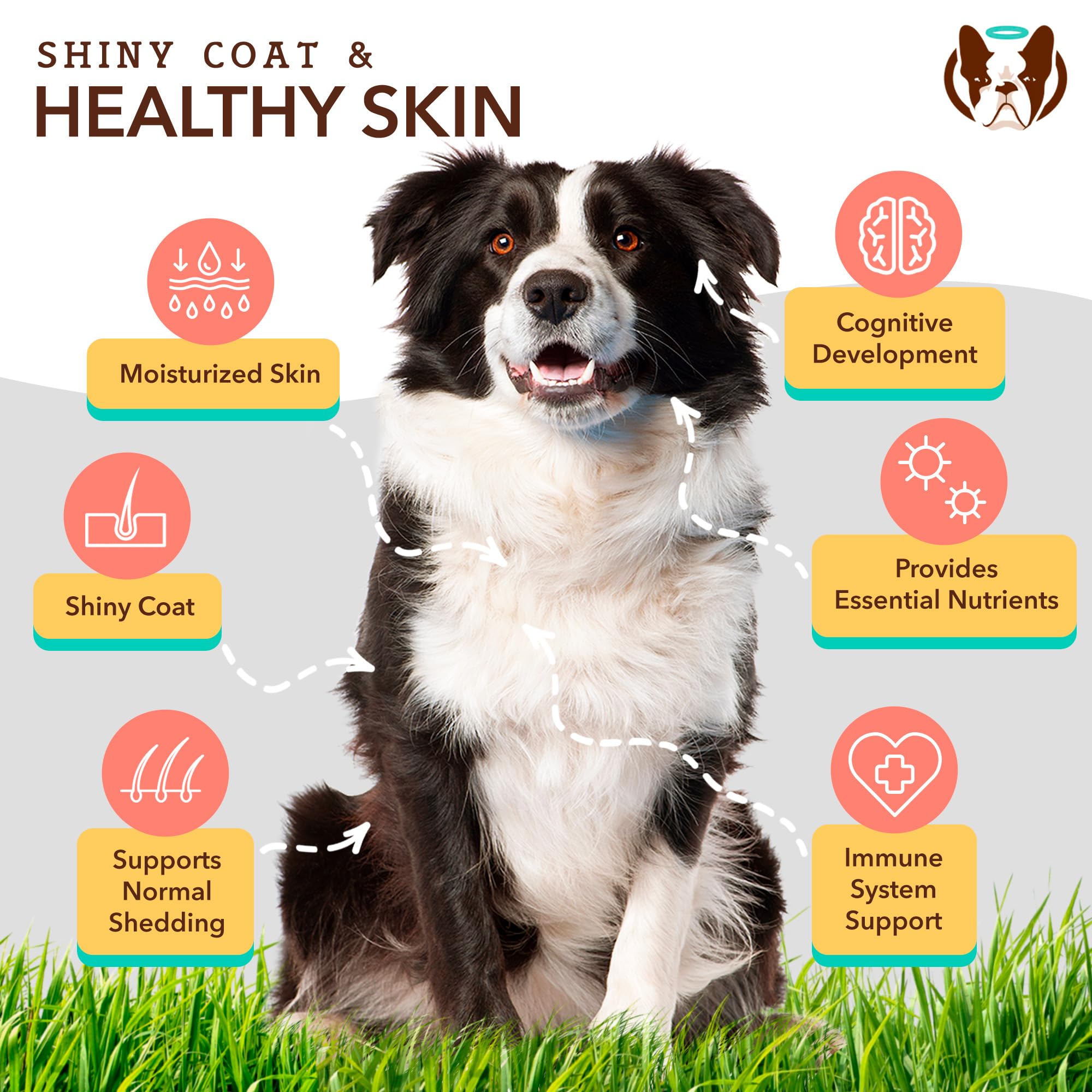 Natural Dog Company Skin & Coat Chews, Salmon & Peas Flavor, Dog Vitamins and Supplements for Healthy Skin & Coat, Itch Relief for Dogs with Allergies, with Biotin, Vitamin E, Omega 3, Antioxidant